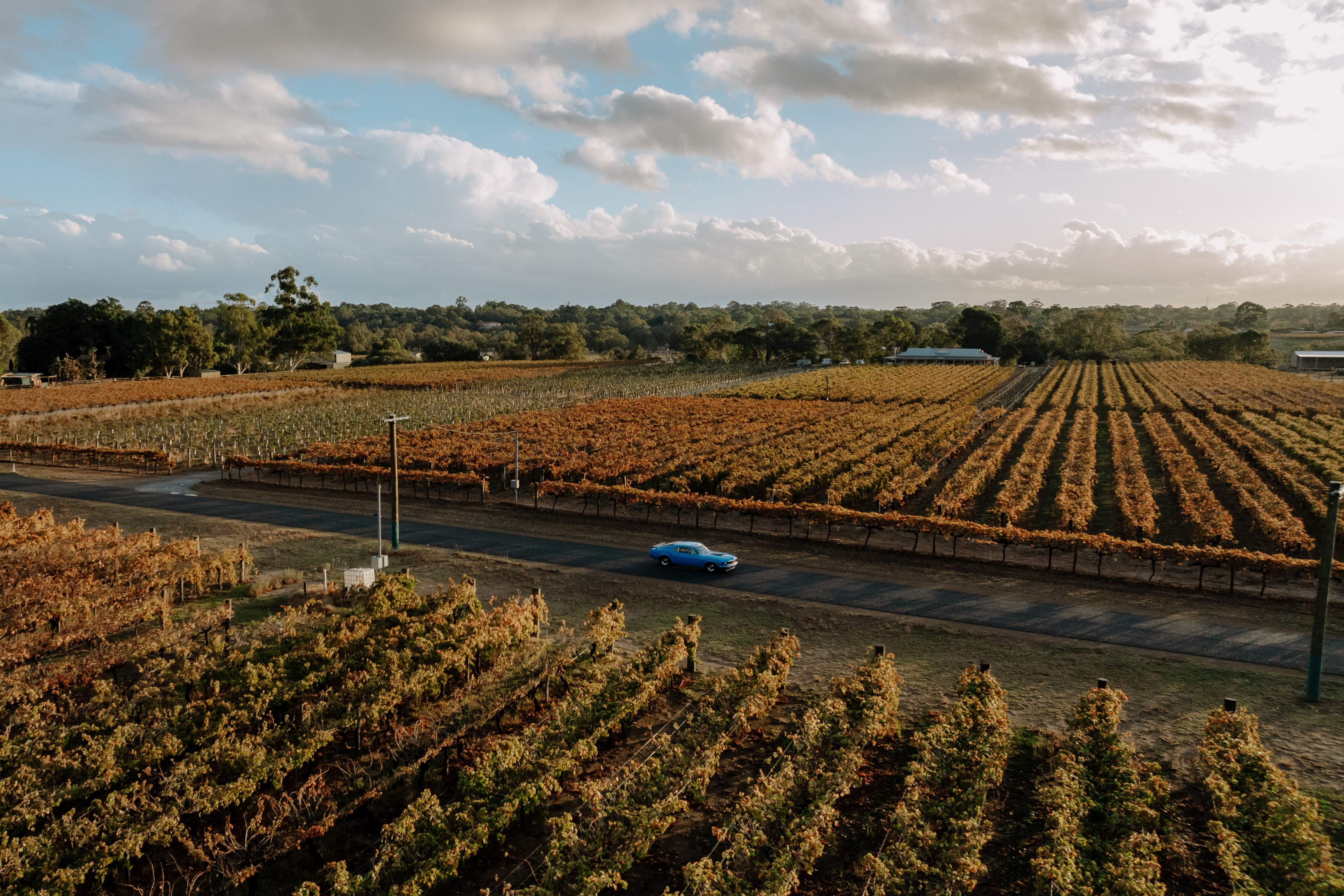 Swan Valley – a place to visit | Swan Valley