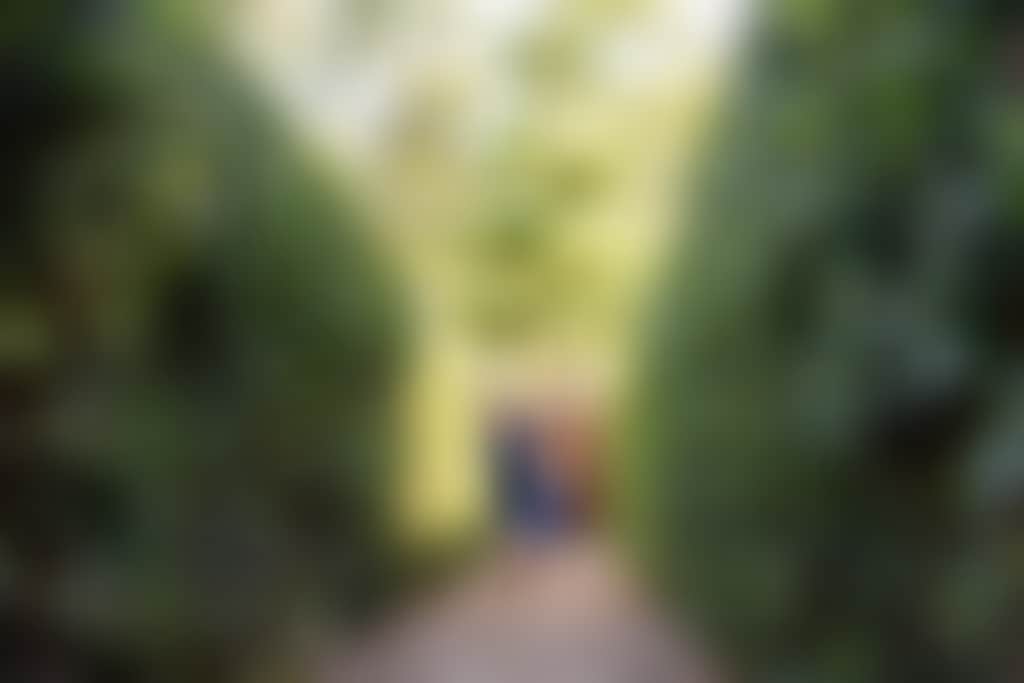 Perth's Outback Splash | Swan Valley