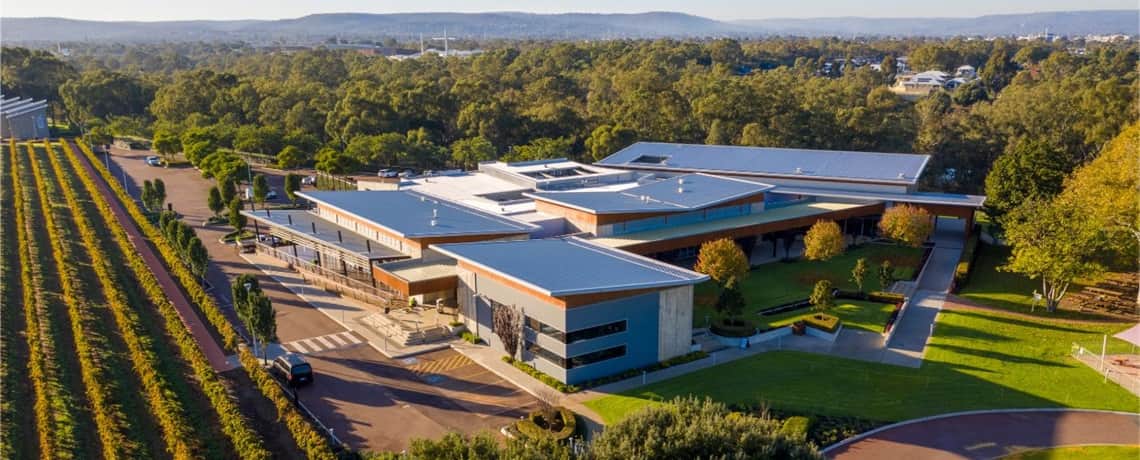Mandoon Estate | Swan Valley
