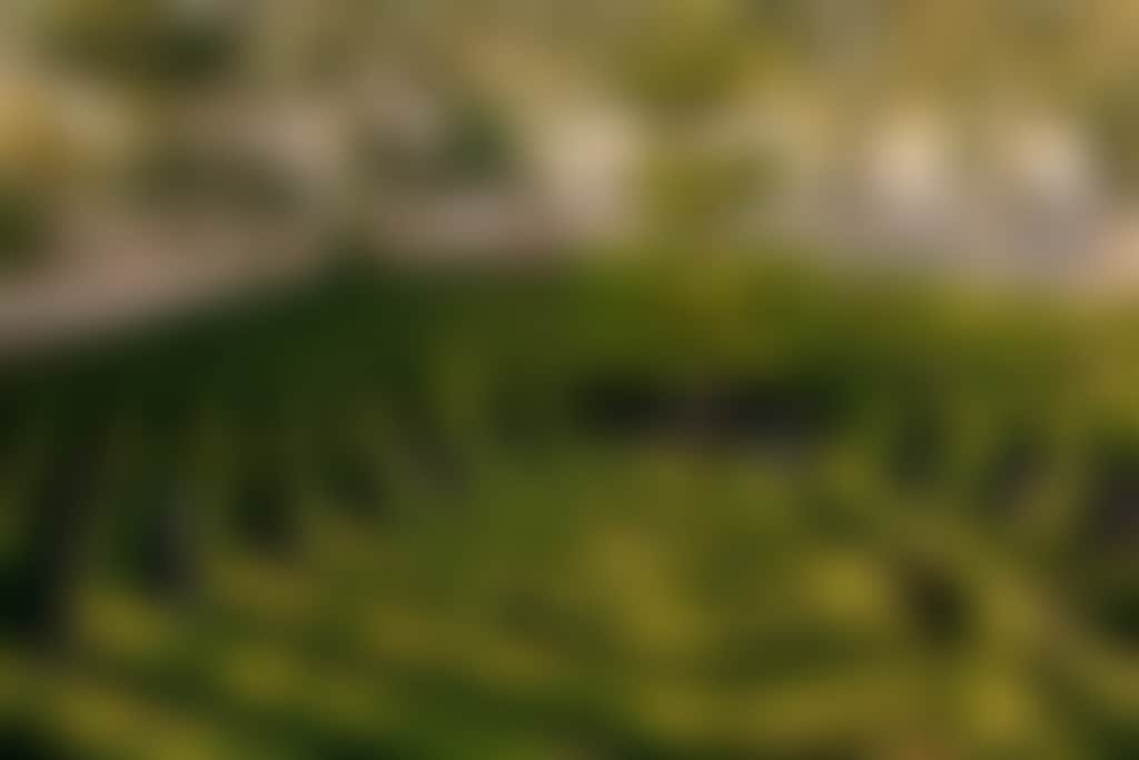 Perth's Outback Splash | Swan Valley